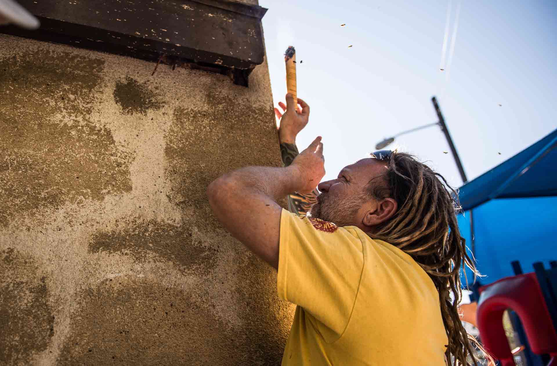 ‘Bee Czar’ removes feral beehive at Llano’s Badu Park – American Honey ...